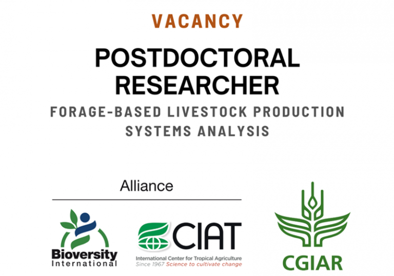 RESEARCHER AT THE ALLIANCE OF BIOVERSITY INTERNATIONAL AND(CIAT) – Asia ...
