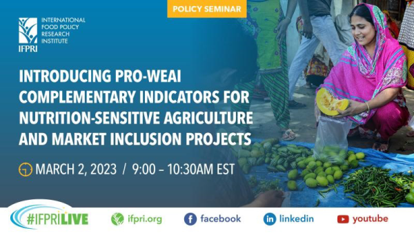 Policy Seminar: Introducing pro-WEAI complementary indicators for ...