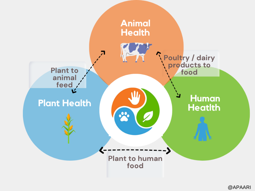Press release: Managing food and feed contamination in Asia through a ...